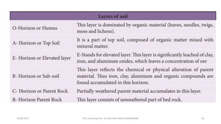 8th Standard, Geography: Rocks and soils 8th and soil | PPTX