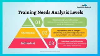 Training need analysis presentation .pptx