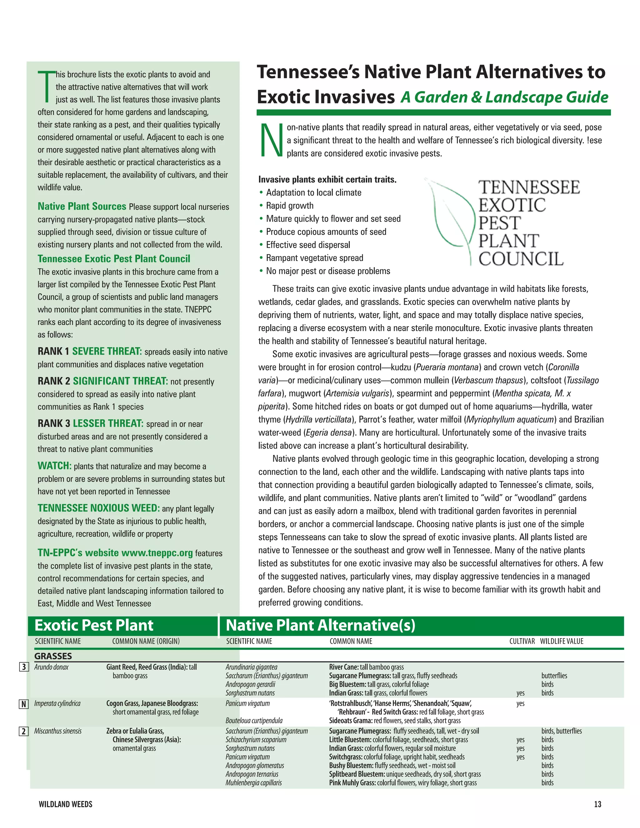 Tennessee's Native Plant Alternatives to Exotic Invasive | PDF