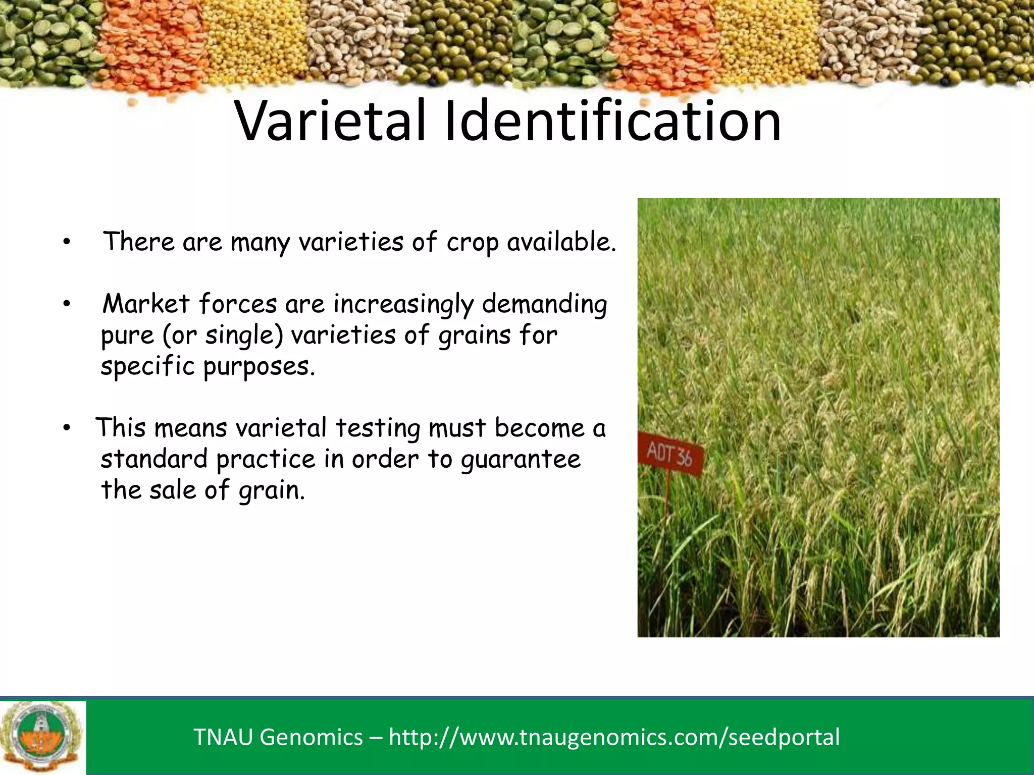 Tnau seed portal new | PPTX