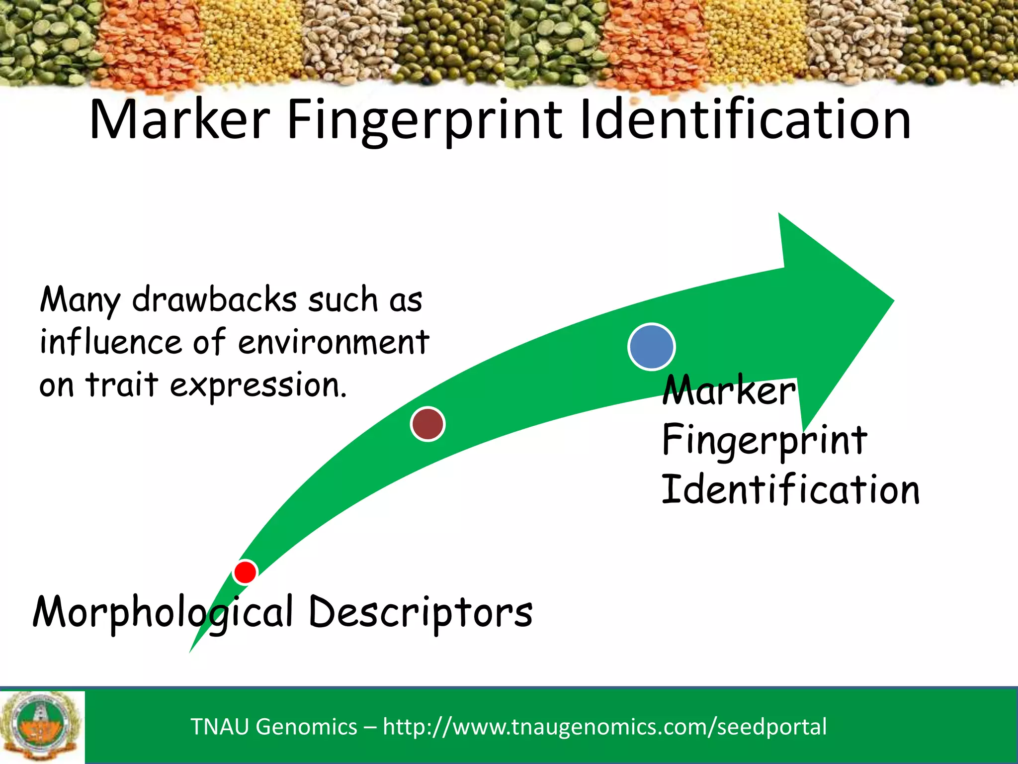 Tnau seed portal new | PPTX