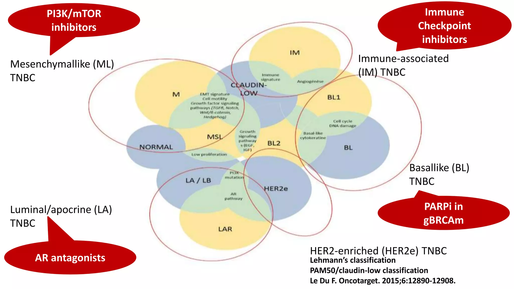 Triple Negative Breast Cancer | PPTX