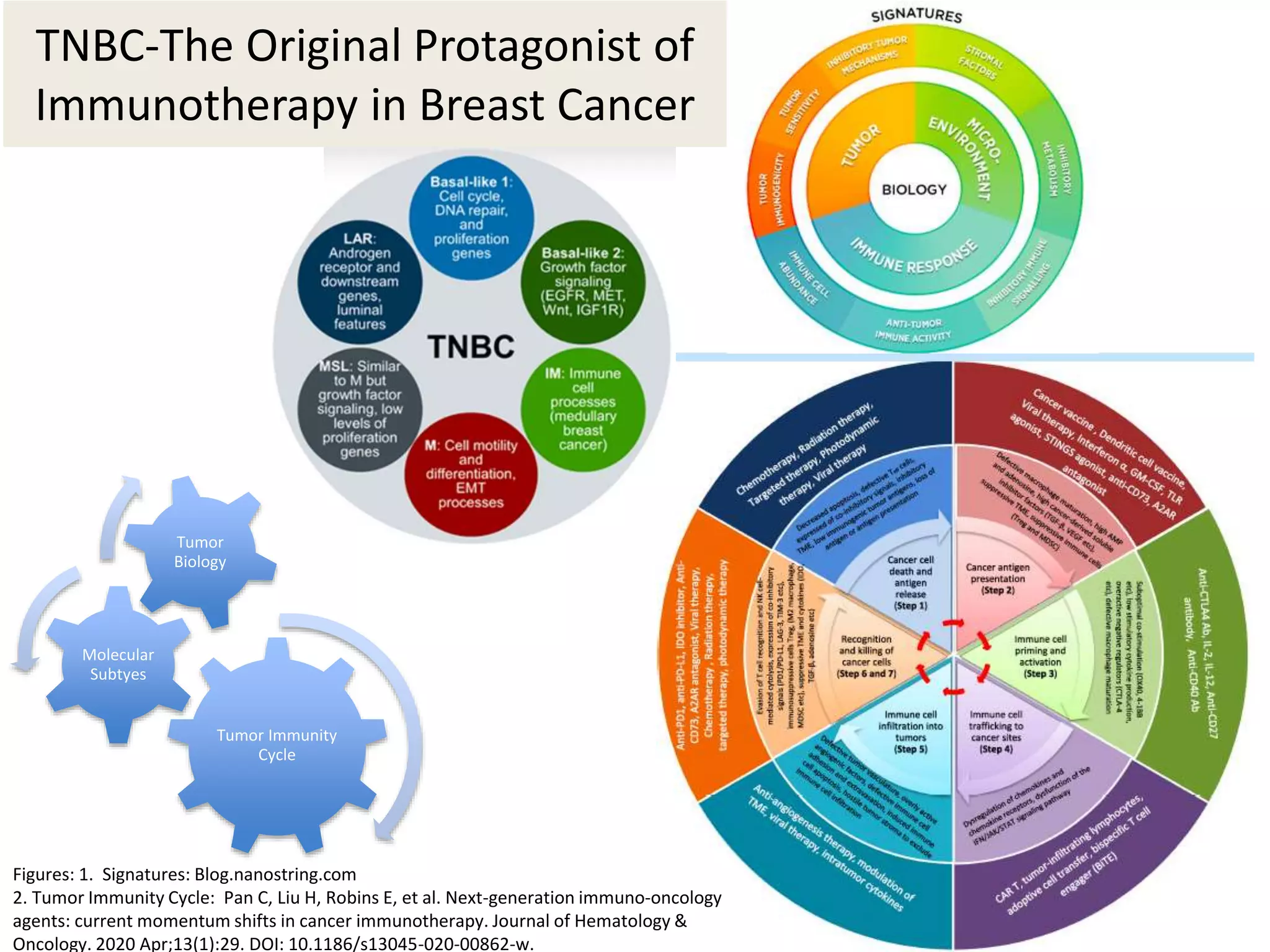 Tnbc trends 2020 | PPTX