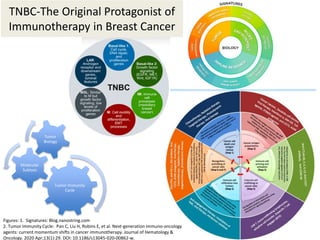 Tnbc trends 2020 | PPTX | Cancer | Diseases and Conditions