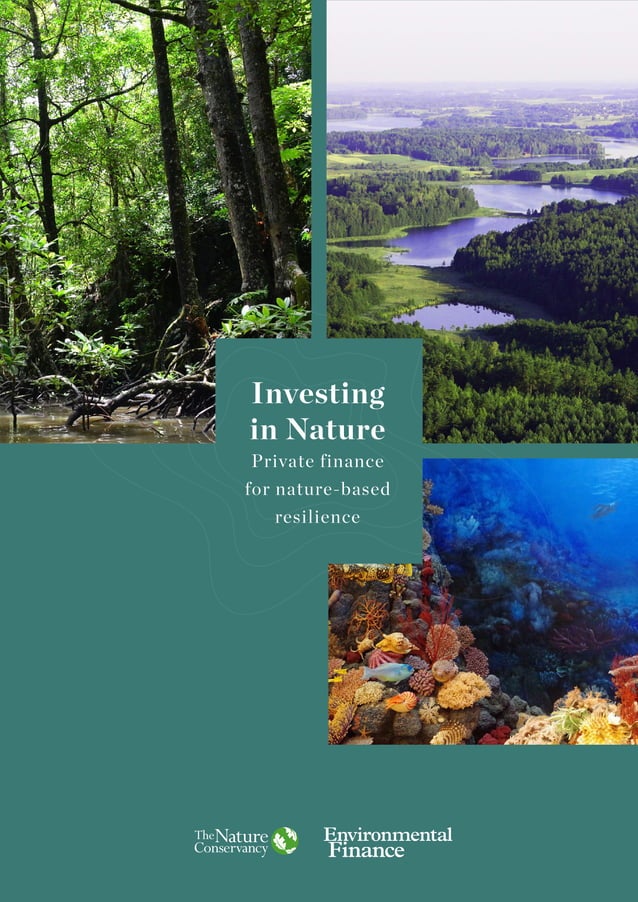TNC-INVESTING-IN-NATURE_Report_01.pdf | Financial Industry | Industries