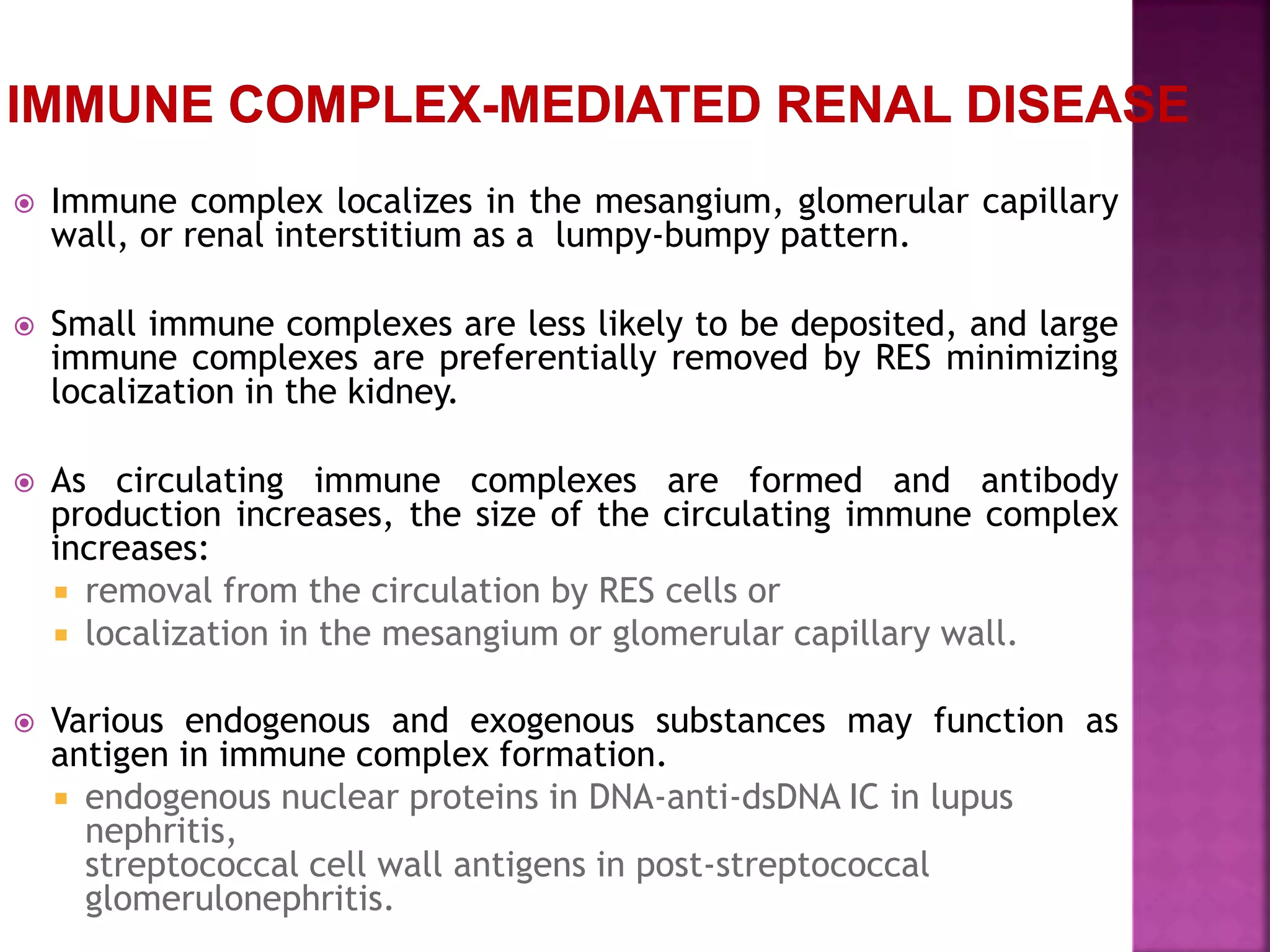 Immunological mechanism of kidney injury | PPTX