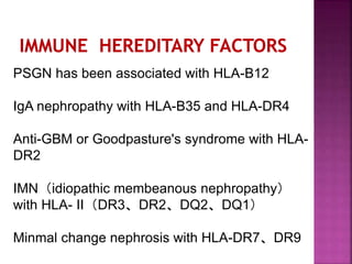 Immunological mechanism of kidney injury | PPTX