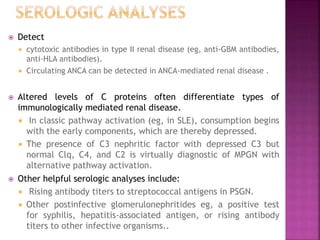 Immunological mechanism of kidney injury | PPTX