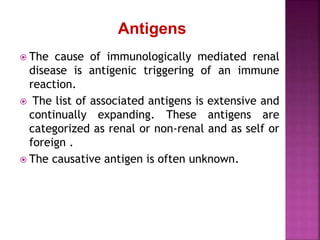 Immunological mechanism of kidney injury | PPTX