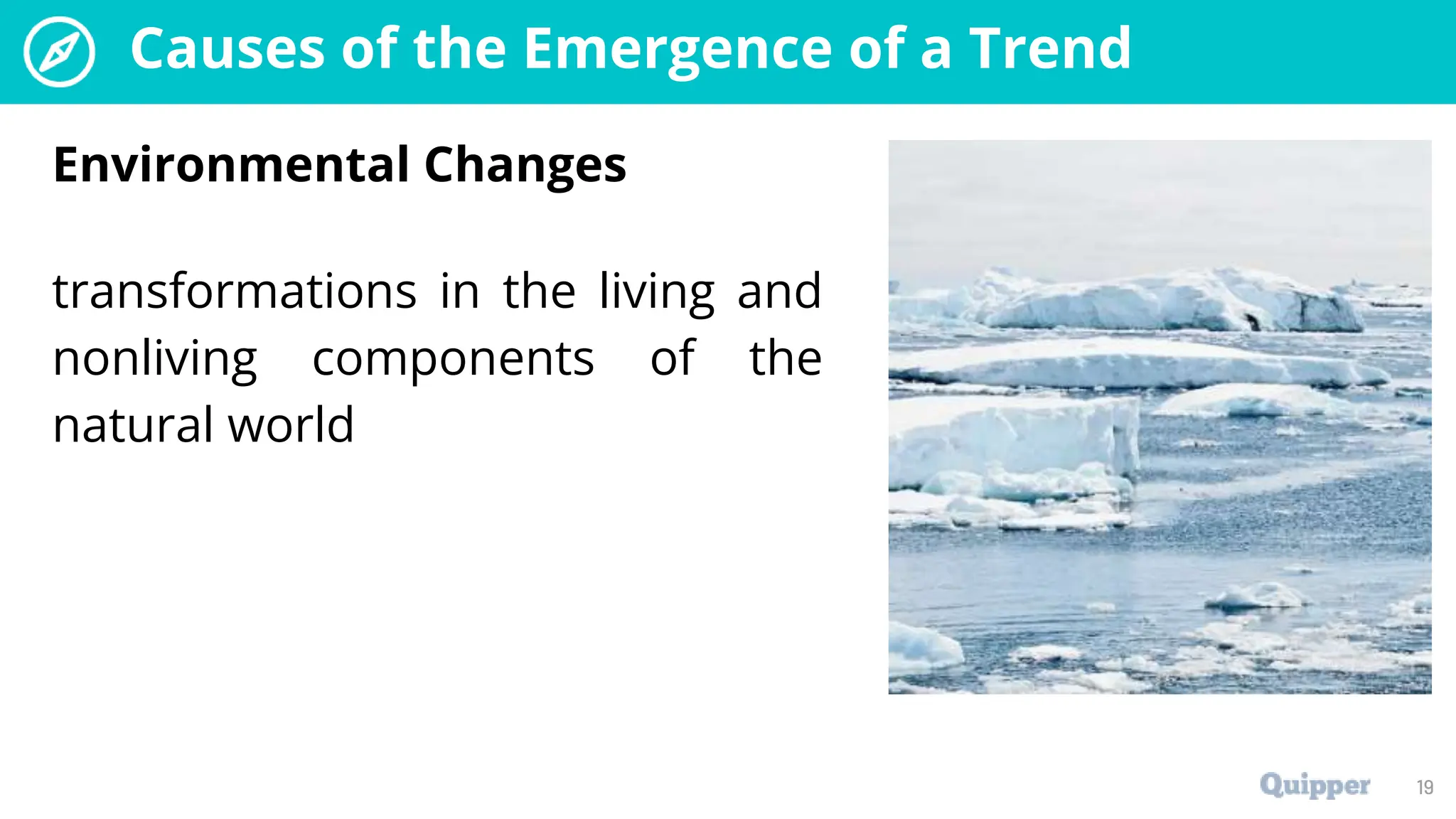 TNCT 12 Q1_0105_PS_Differentiating Relationships between Causes and ...