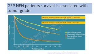 TUMOR NEUROENDOCRINO AVANZADO MANEJO TNE | PPTX
