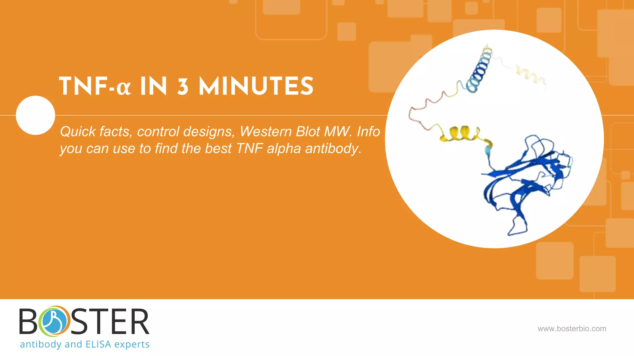 Learn TNF Alpha in 3 minutes | Tumor necrosis factor, TNFA | PPTX