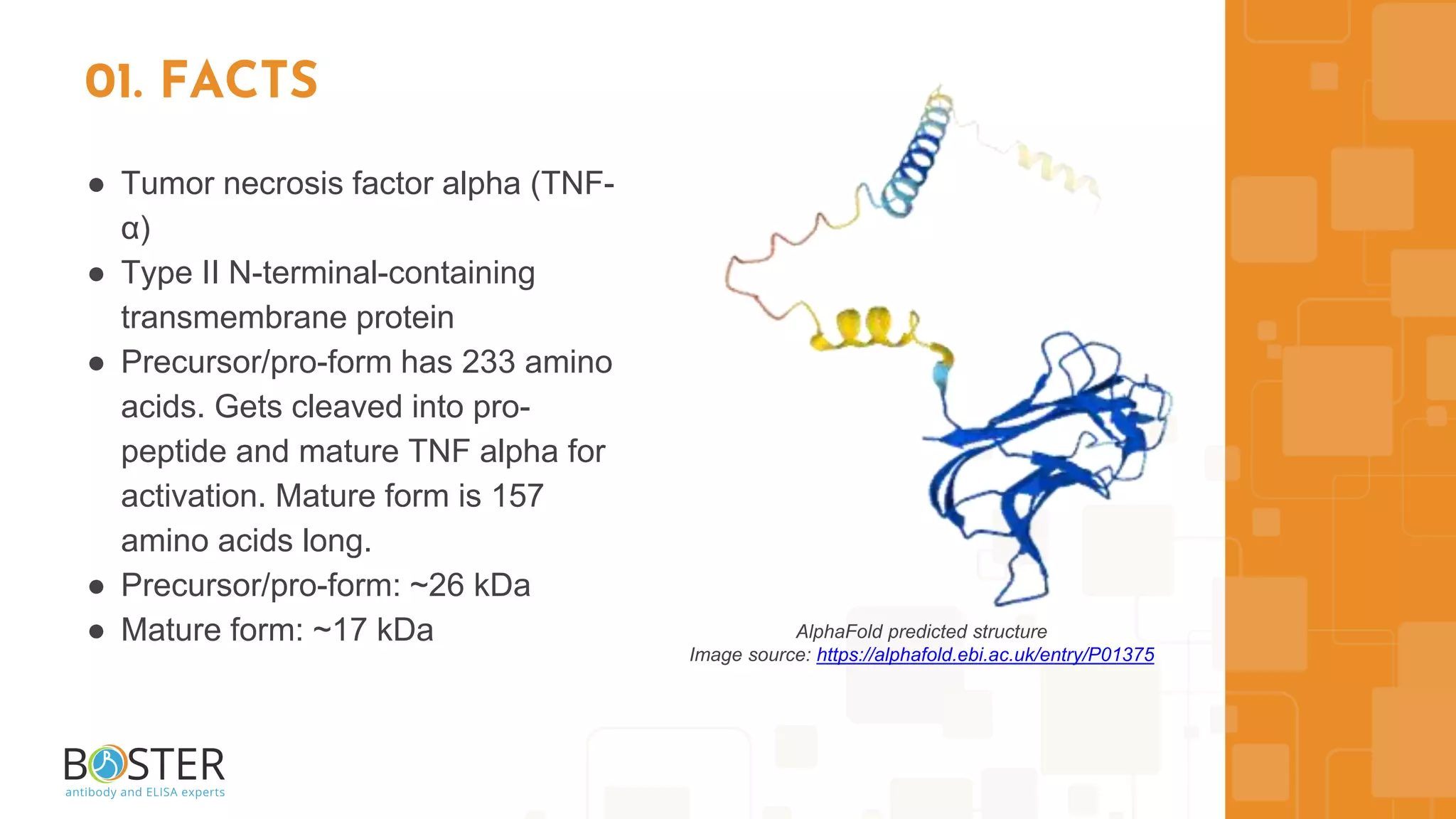 Learn TNF Alpha in 3 minutes | Tumor necrosis factor, TNFA | PPTX