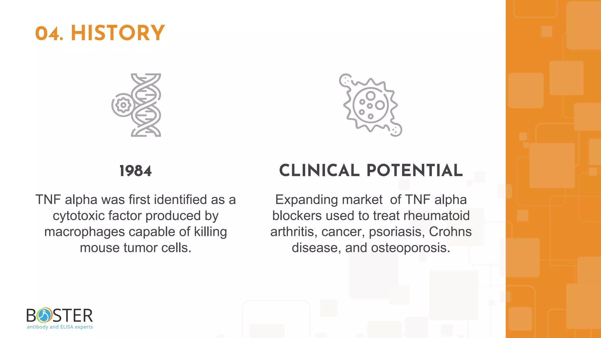 Learn TNF Alpha in 3 minutes | Tumor necrosis factor, TNFA | PPTX