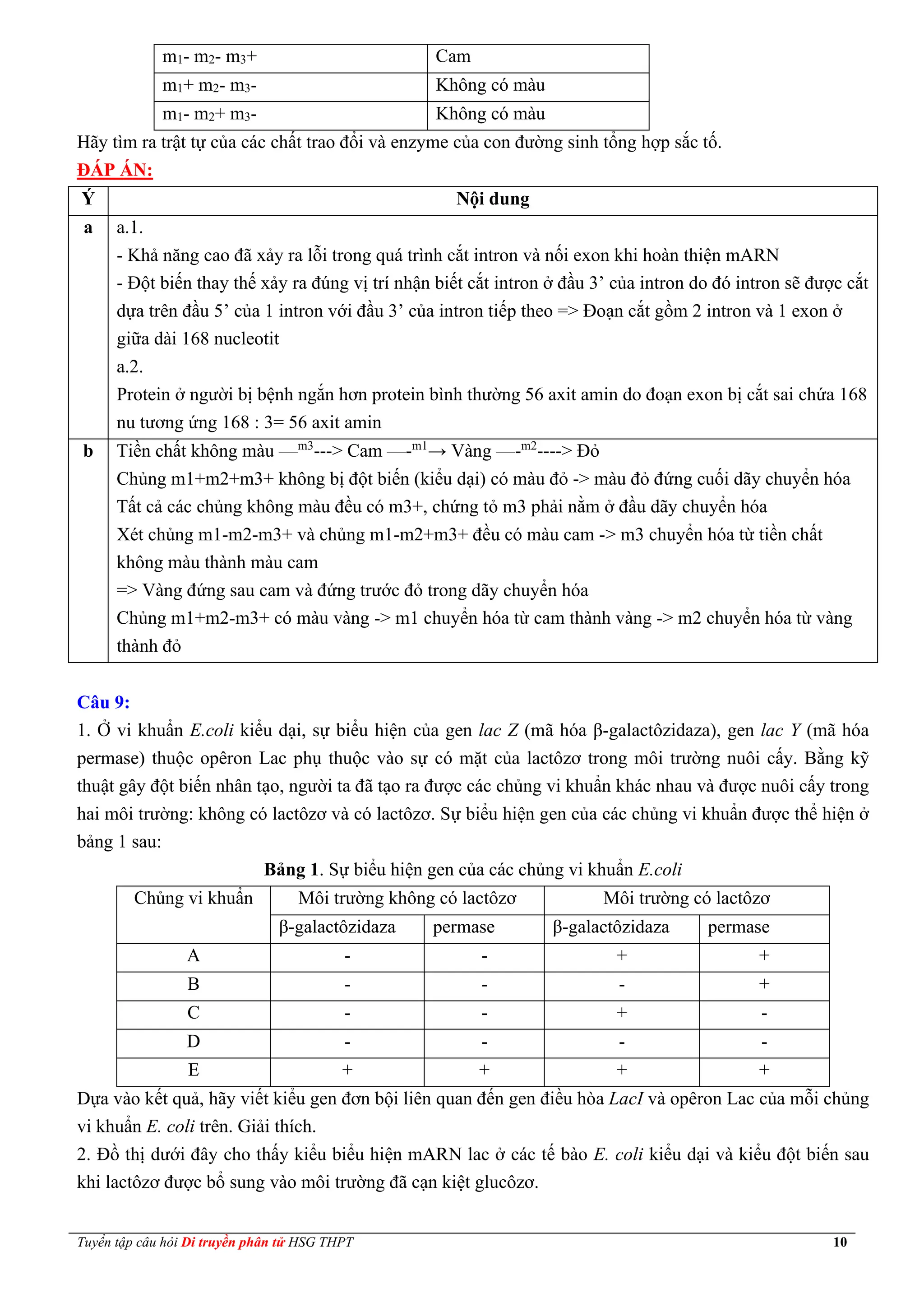 TỔNG HỢP 135 CÂU HỎI DI TRUYỀN PHÂN TỬ LUYỆN THI HỌC SINH GIỎI THPT MÔN SINH HỌC CÓ ĐÁP ÁN.pdf