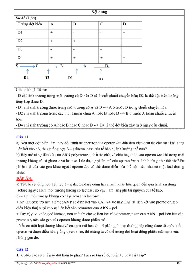 TỔNG HỢP 135 CÂU HỎI DI TRUYỀN PHÂN TỬ LUYỆN THI HỌC SINH GIỎI THPT MÔN SINH HỌC CÓ ĐÁP ÁN.pdf