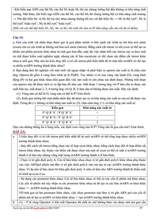 TỔNG HỢP 135 CÂU HỎI DI TRUYỀN PHÂN TỬ LUYỆN THI HỌC SINH GIỎI THPT MÔN SINH HỌC CÓ ĐÁP ÁN.pdf