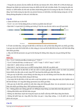 TỔNG HỢP 135 CÂU HỎI DI TRUYỀN PHÂN TỬ LUYỆN THI HỌC SINH GIỎI THPT MÔN SINH HỌC CÓ ĐÁP ÁN.pdf