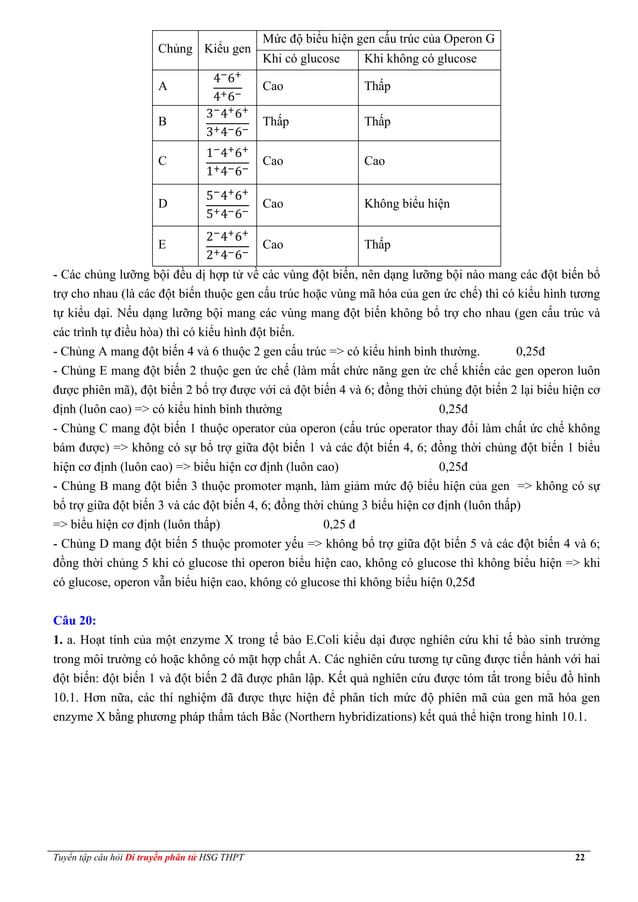 TỔNG HỢP 135 CÂU HỎI DI TRUYỀN PHÂN TỬ LUYỆN THI HỌC SINH GIỎI THPT MÔN SINH HỌC CÓ ĐÁP ÁN.pdf
