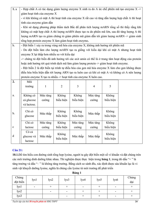 TỔNG HỢP 135 CÂU HỎI DI TRUYỀN PHÂN TỬ LUYỆN THI HỌC SINH GIỎI THPT MÔN SINH HỌC CÓ ĐÁP ÁN.pdf