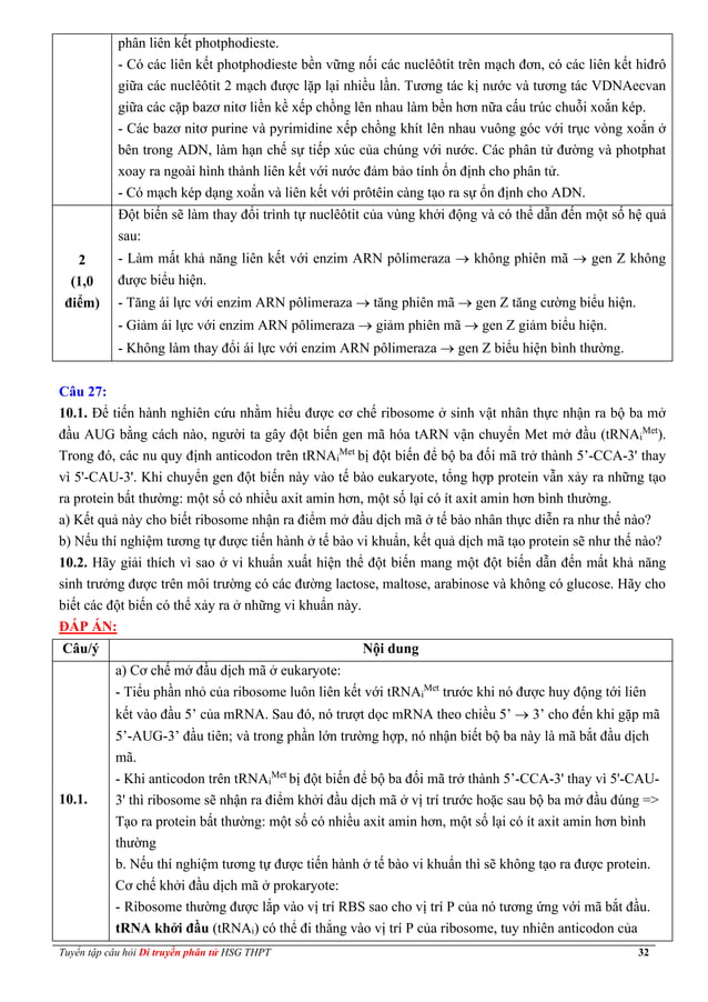 TỔNG HỢP 135 CÂU HỎI DI TRUYỀN PHÂN TỬ LUYỆN THI HỌC SINH GIỎI THPT MÔN SINH HỌC CÓ ĐÁP ÁN.pdf