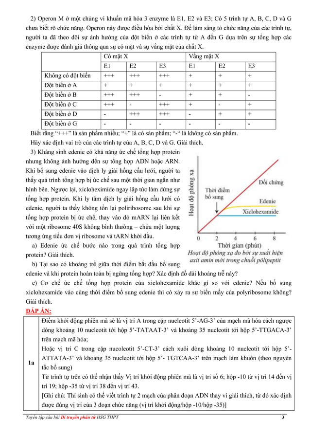 TỔNG HỢP 135 CÂU HỎI DI TRUYỀN PHÂN TỬ LUYỆN THI HỌC SINH GIỎI THPT MÔN SINH HỌC CÓ ĐÁP ÁN.pdf