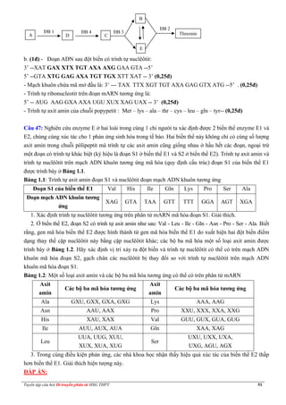 TỔNG HỢP 135 CÂU HỎI DI TRUYỀN PHÂN TỬ LUYỆN THI HỌC SINH GIỎI THPT MÔN SINH HỌC CÓ ĐÁP ÁN.pdf