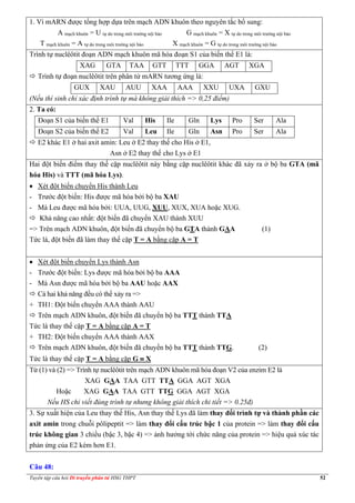 TỔNG HỢP 135 CÂU HỎI DI TRUYỀN PHÂN TỬ LUYỆN THI HỌC SINH GIỎI THPT MÔN SINH HỌC CÓ ĐÁP ÁN.pdf
