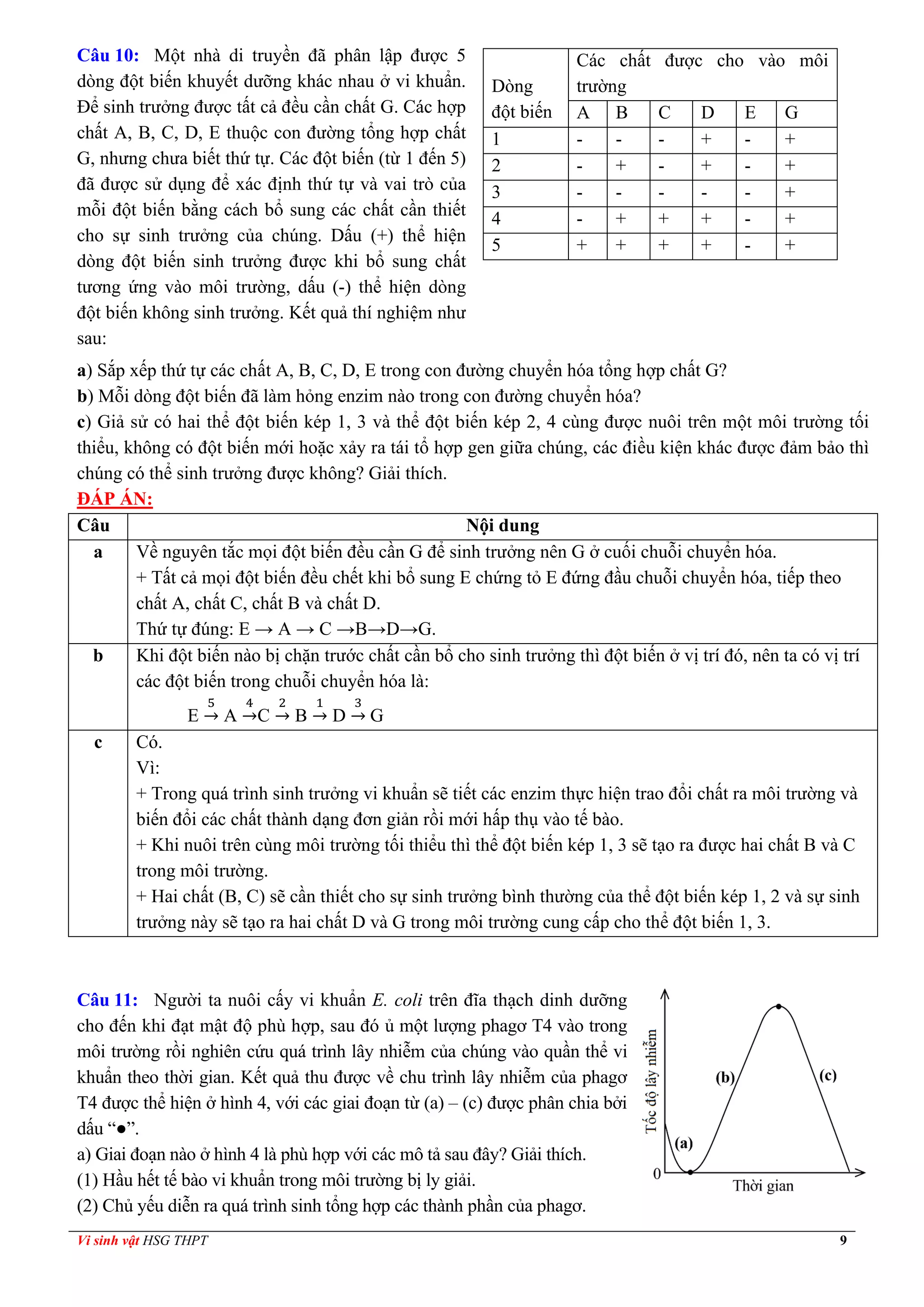 TỔNG HỢP 150 CÂU HỎI VI SINH VẬT LUYỆN THI HỌC SINH GIỎI THPT MÔN SINH HỌC CÓ ĐÁP ÁN (116 TRANG).pdf