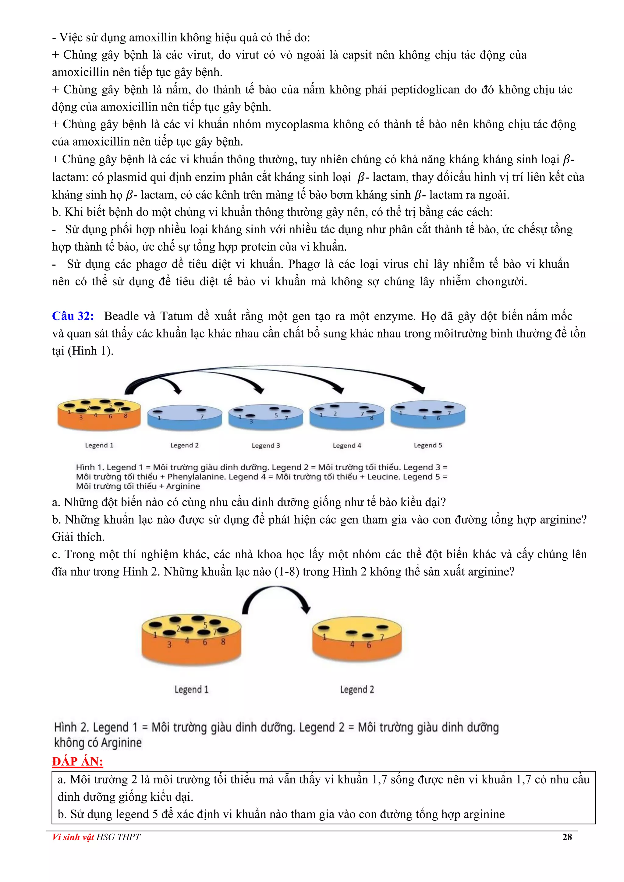 TỔNG HỢP 150 CÂU HỎI VI SINH VẬT LUYỆN THI HỌC SINH GIỎI THPT MÔN SINH HỌC CÓ ĐÁP ÁN (116 TRANG).pdf