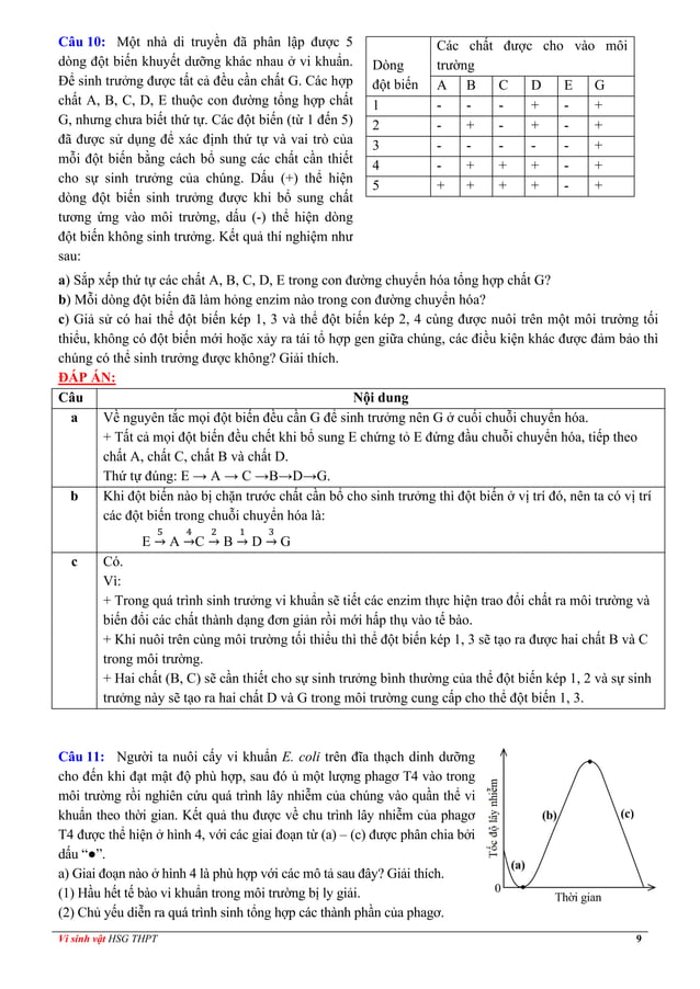 TỔNG HỢP 150 CÂU HỎI VI SINH VẬT LUYỆN THI HỌC SINH GIỎI THPT MÔN SINH HỌC CÓ ĐÁP ÁN (116 TRANG).pdf