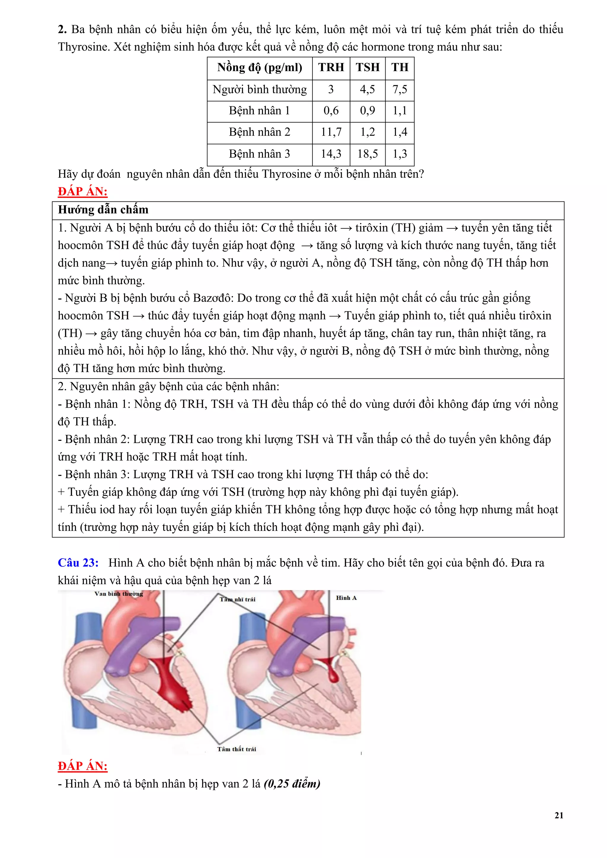 TỔNG HỢP 311 CÂU HỎI SINH LÝ ĐỘNG VẬT LUYỆN THI HỌC SINH GIỎI THPT MÔN SINH HỌC CÓ ĐÁP ÁN (238 ...