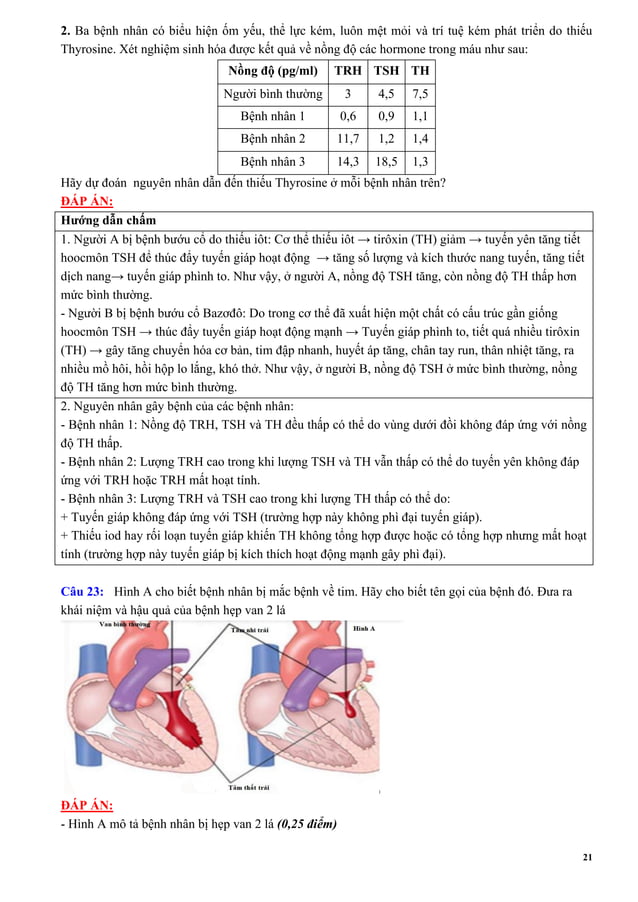 TỔNG HỢP 311 CÂU HỎI SINH LÝ ĐỘNG VẬT LUYỆN THI HỌC SINH GIỎI THPT MÔN SINH HỌC CÓ ĐÁP ÁN (238 ...