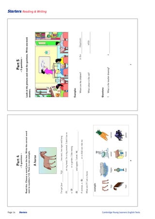 Tổng hợp các đề thi starters | PDF