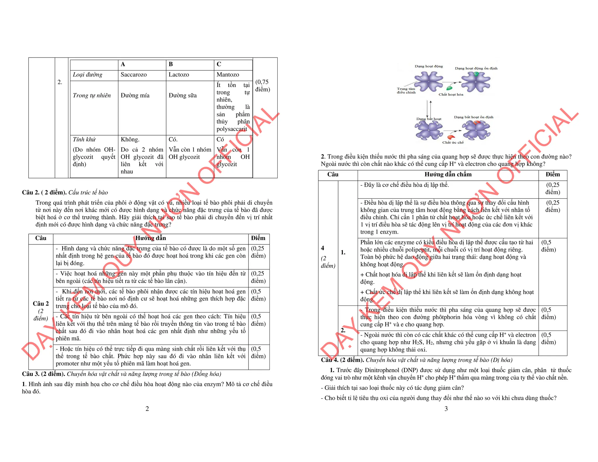 TỔNG HỢP ĐỀ THI CHÍNH THỨC VÀ ĐỀ XUẤT KỲ THI CHỌN HỌC SINH GIỎI TRẠI HÈ HÙNG VƯƠNG LẦN THỨ XVII ...