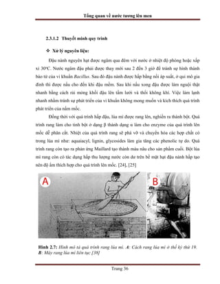 Tổng quan về nước tương lên men | PDF