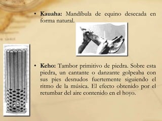 Étnias de Chile.ppt
