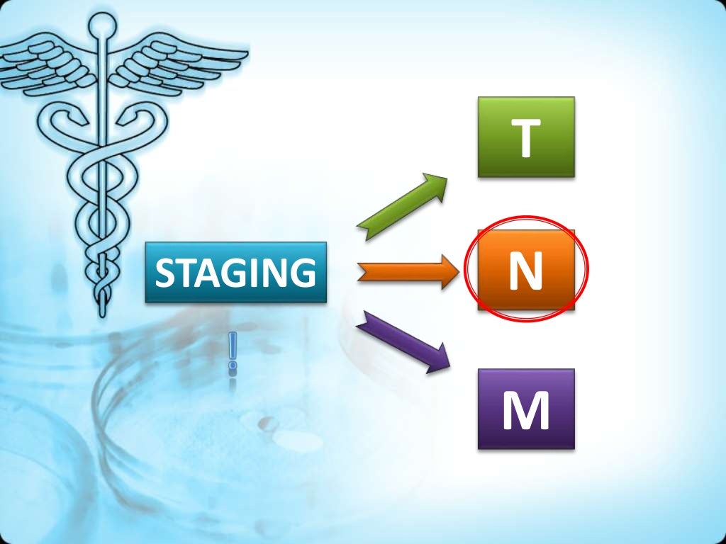 Tnm Staging Of Oral Cancer