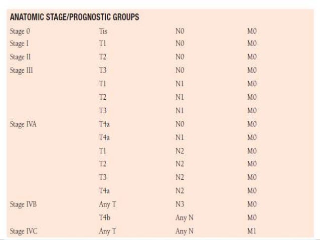 Tnm Staging Of Oral Cancer