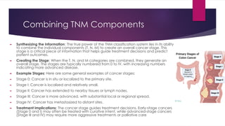 TNM Classification and Implication to Cancer Staging.pdf
