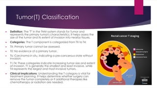 TNM Classification and Implication to Cancer Staging.pdf