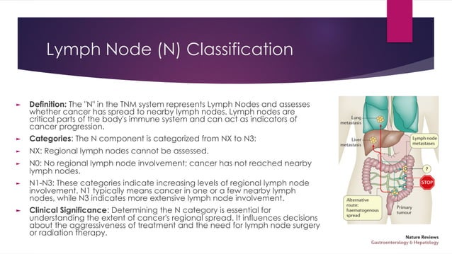 TNM Classification and Implication to Cancer Staging.pdf