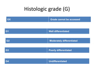 TNM Classification for Hepatocellular Carcinoma.pptx