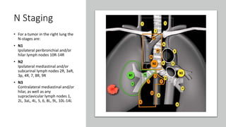 TNM lung presentation.pptx