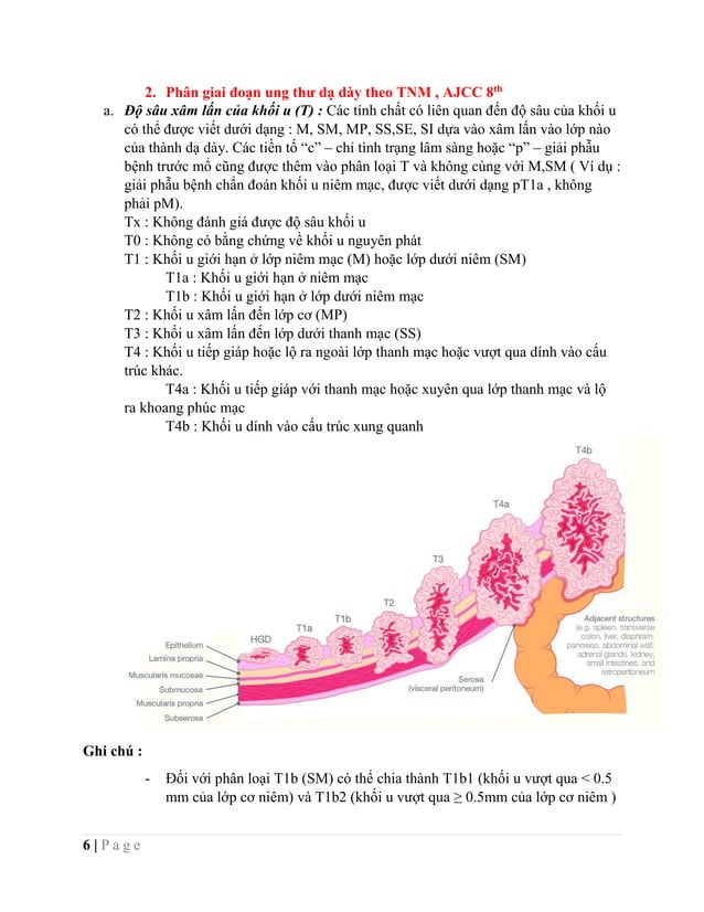 Phân độ TNM của ung thư đại - trực tràng và Ung thư dạ dày theo AJCC 8th | PDF