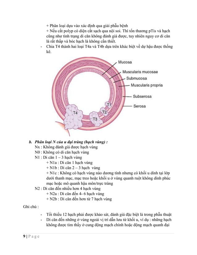 Phân độ TNM của ung thư đại - trực tràng và Ung thư dạ dày theo AJCC 8th | PDF