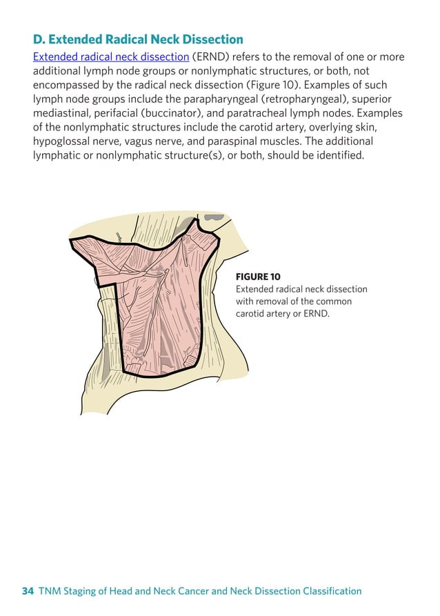 TNM staging of head neck cancer | PDF