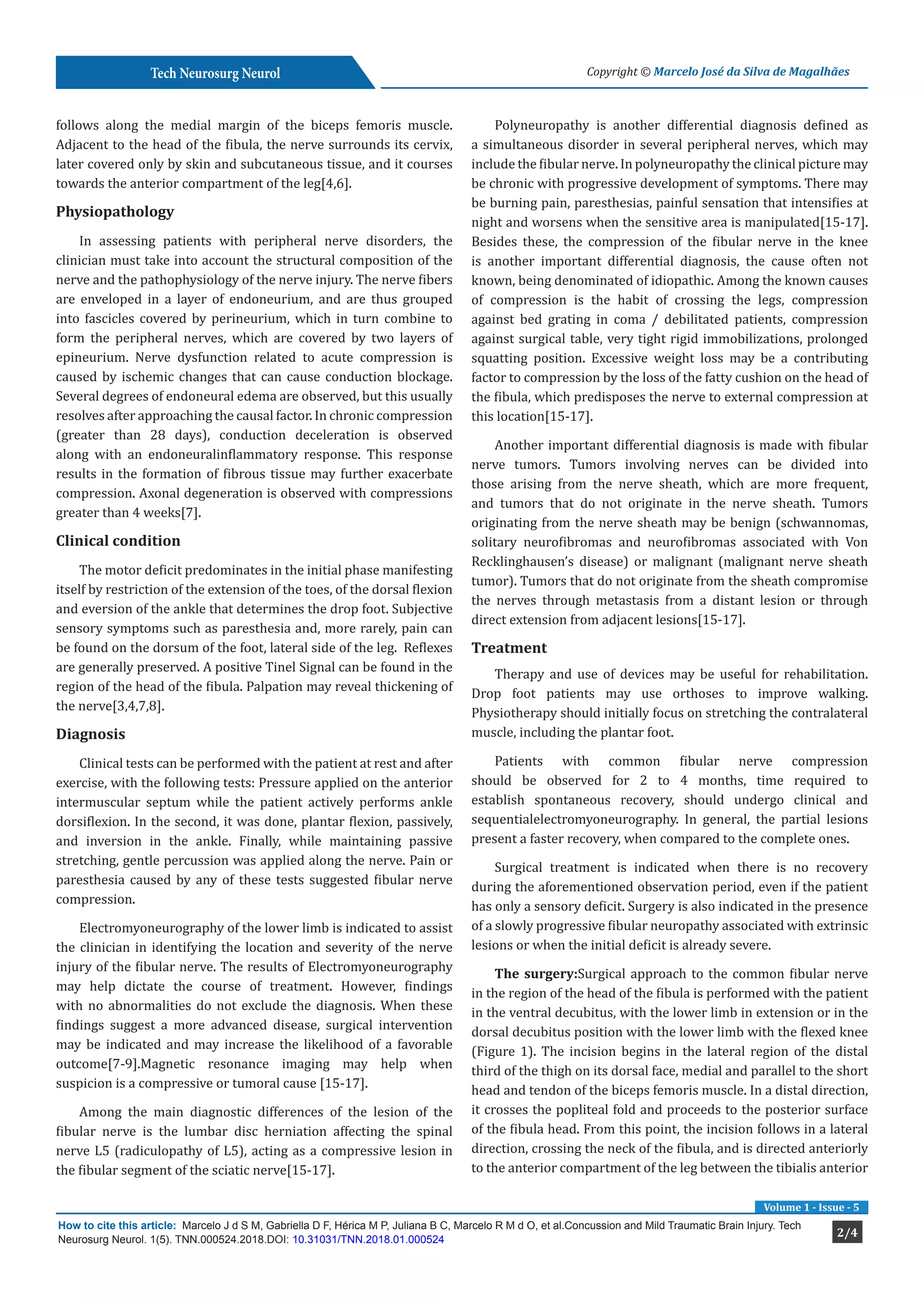 Fibular (Peroneal) Nerve Entrapment Neuropathy-Review_Crimson ...