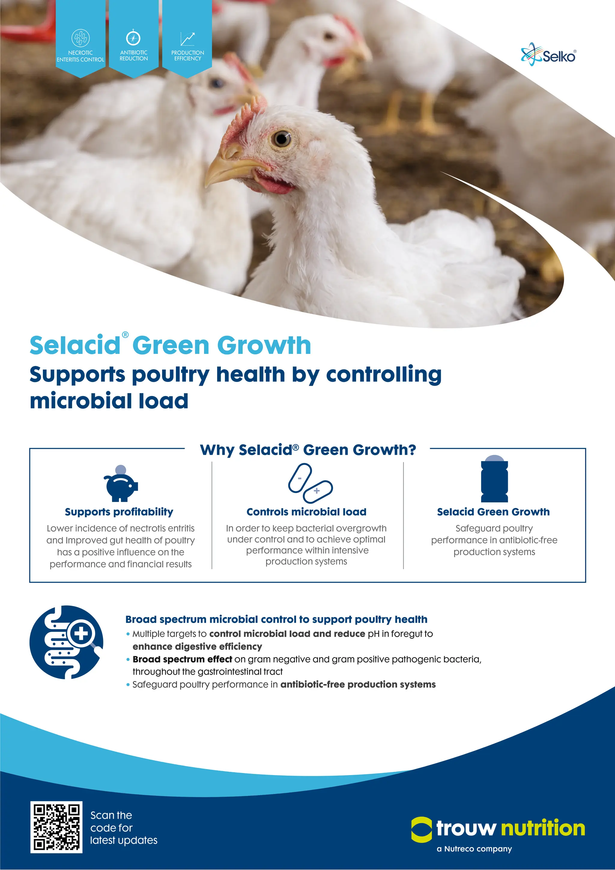 Poultry health supporter- Selacid Green Growth | PDF