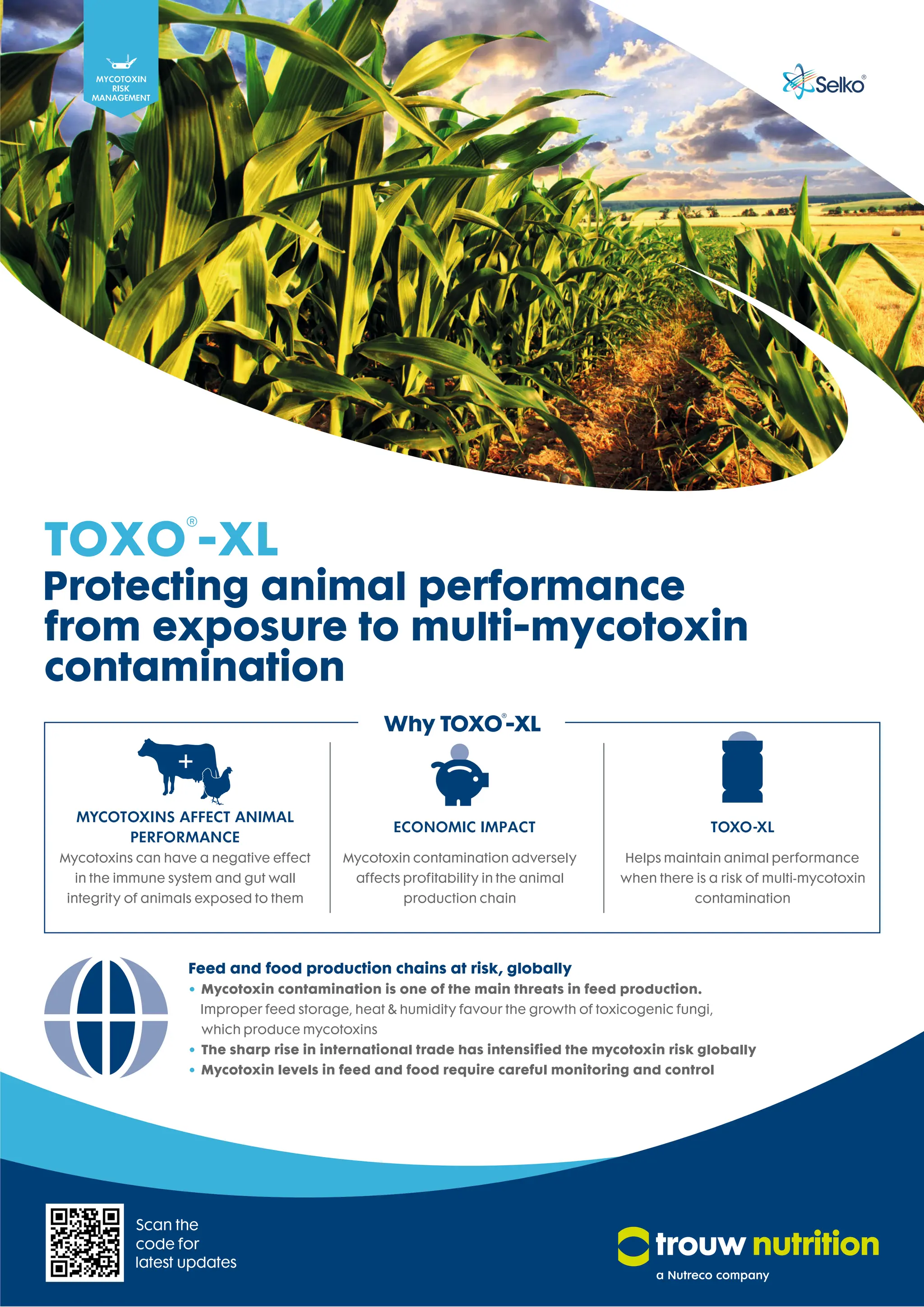 Mycotoxin contamination protector- TOXO-XL | PDF | Infectious Diseases ...